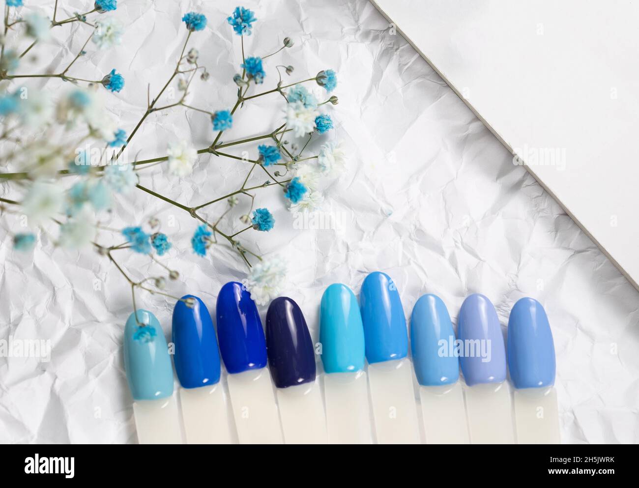 Set paint samples different hi-res stock photography and images - Alamy