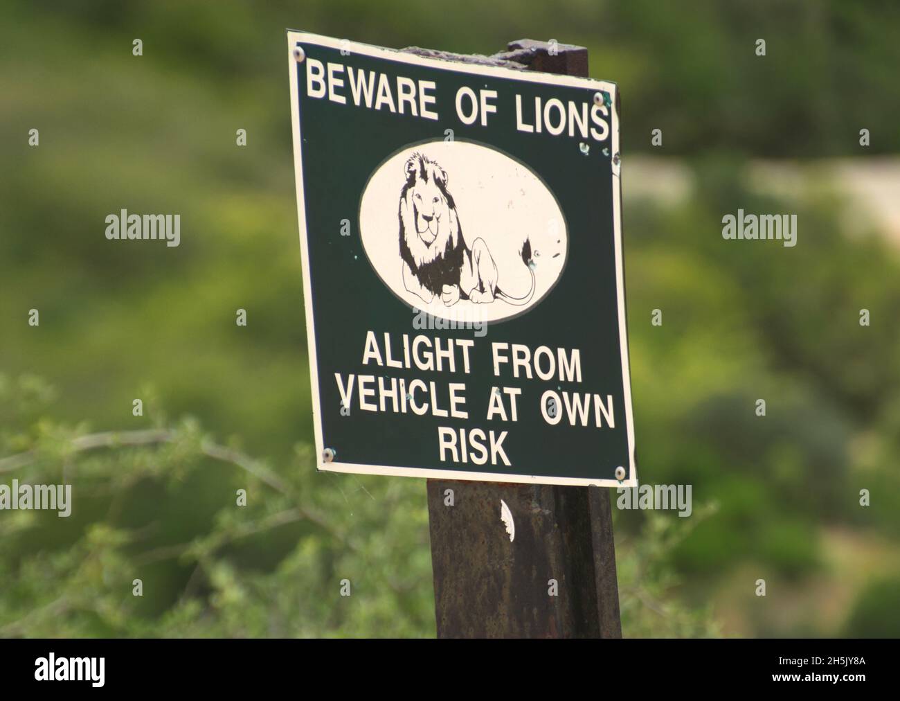 Sign Beware of lions Stock Photo - Alamy