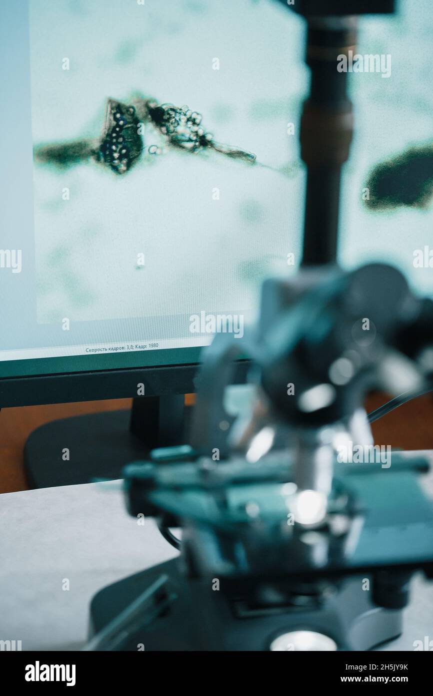 Electron microscope in the laboratory for studying mold on hemp Stock ...