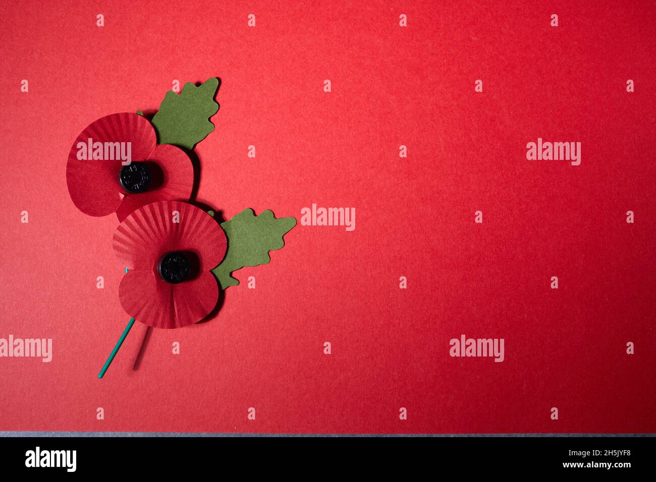 World War remembrance day. Red poppy is symbol of remembrance to those ...