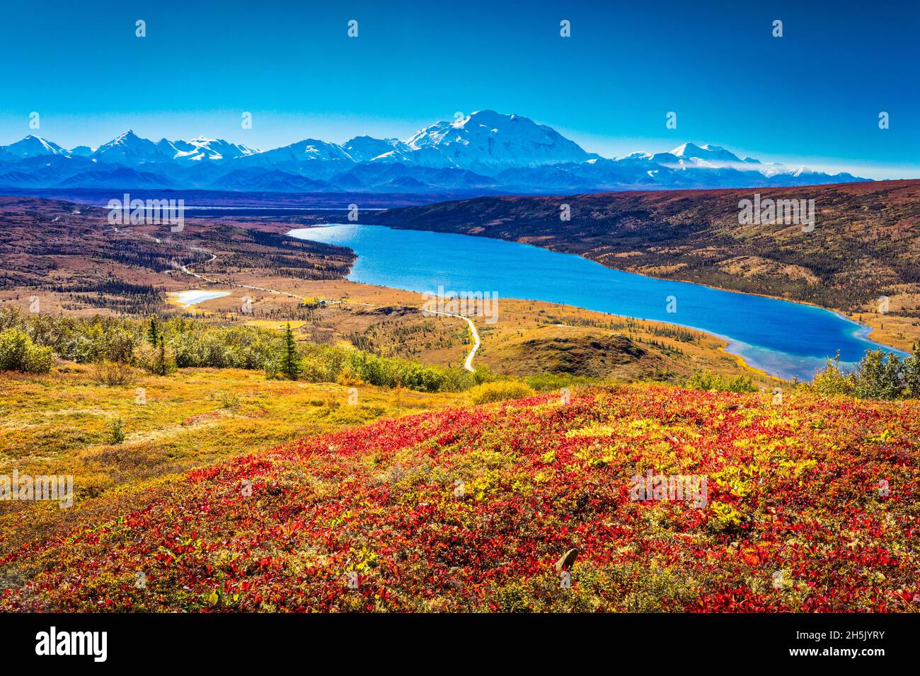 Mount Denali (McKinley) and Wonder Lake with autumn coloured tundra and ...