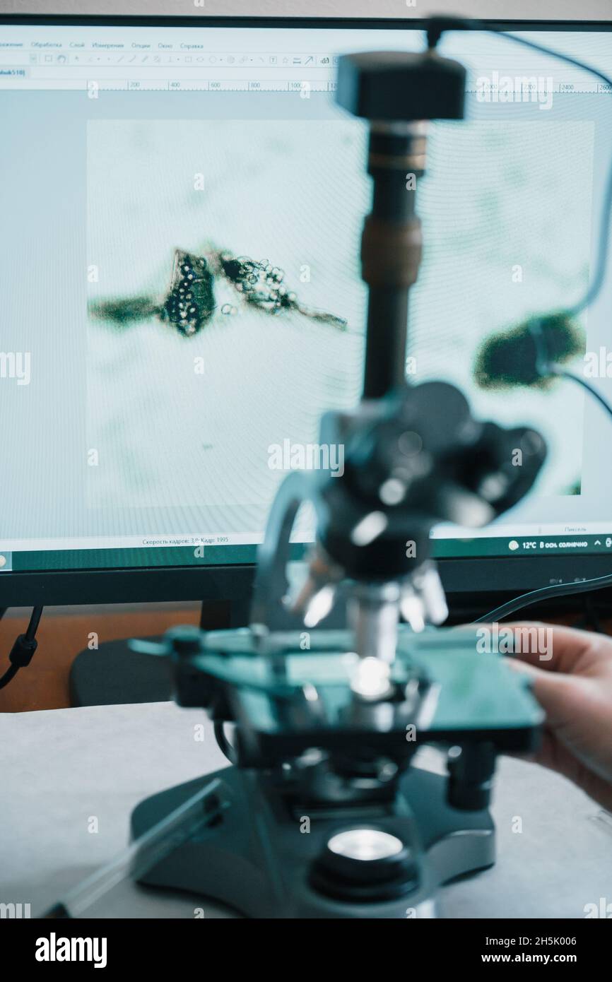 Electron microscope in the laboratory for studying mold on hemp Stock ...
