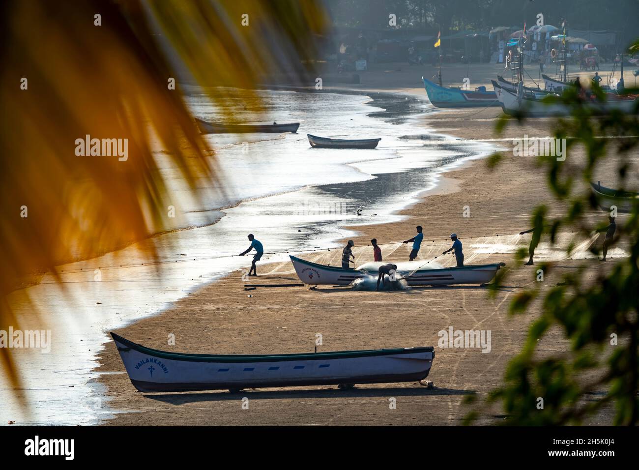 India dolphin hi-res stock photography and images - Alamy