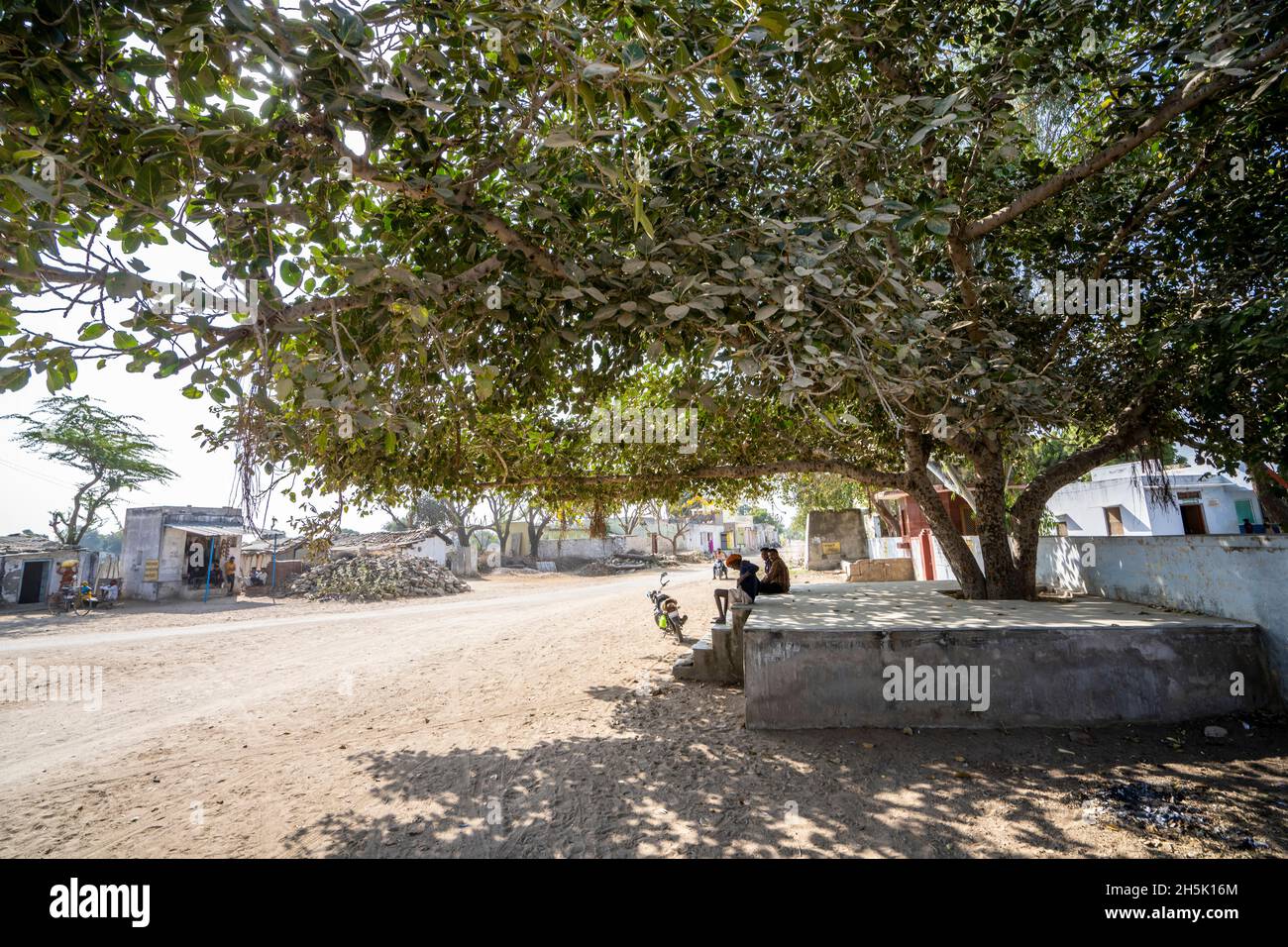Street scene in a rural village in India, people sitting under the ...
