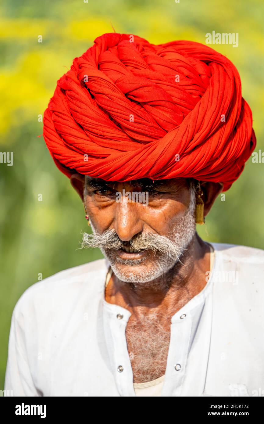 Red turbaned farmer shepherd in the Pali plains of Rajasthan, India ...