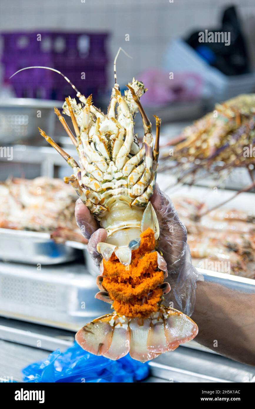 Mina port fish market hi-res stock photography and images - Alamy