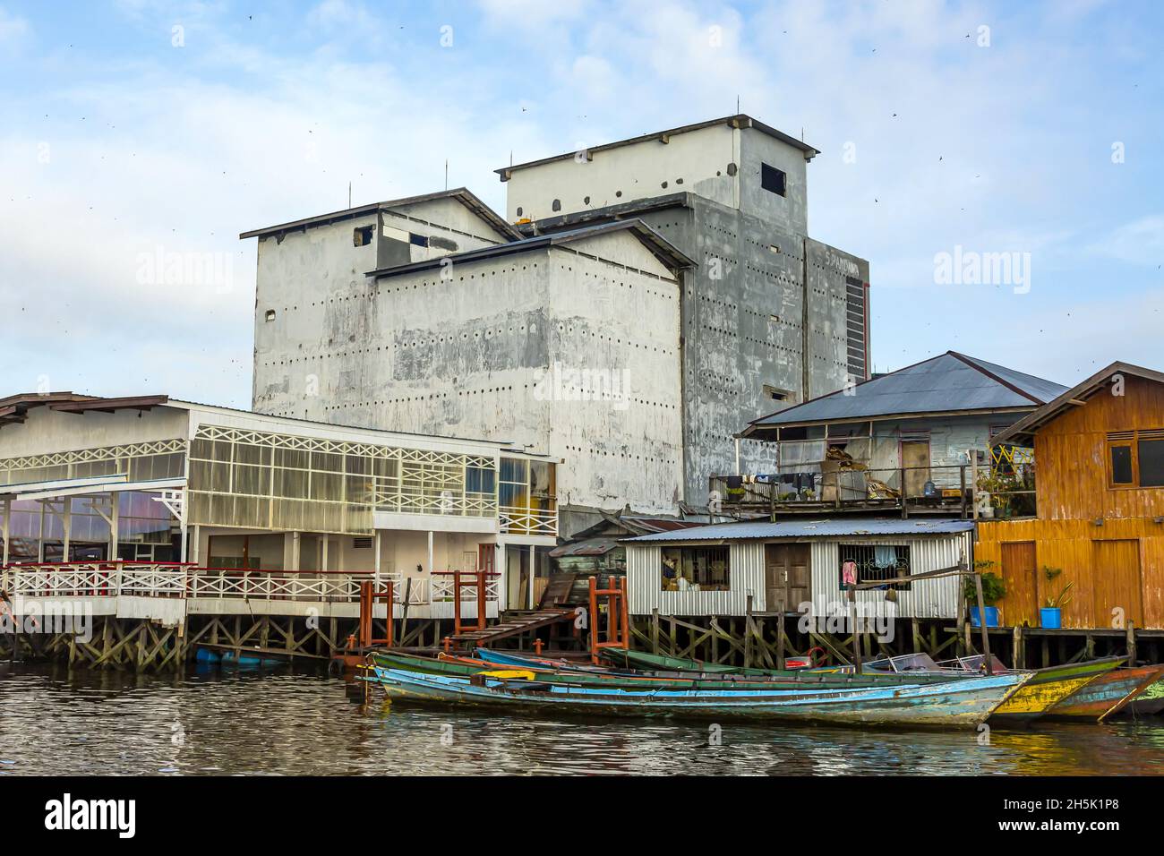 Swiftlet aerodramus fuciphagus edible bird nest trade hi-res stock ...