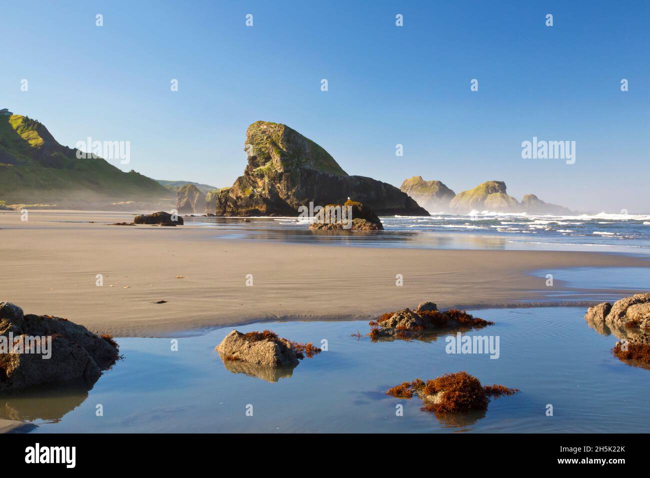 Morning light adds beauty to Cape Sebastian along the South Oregon ...