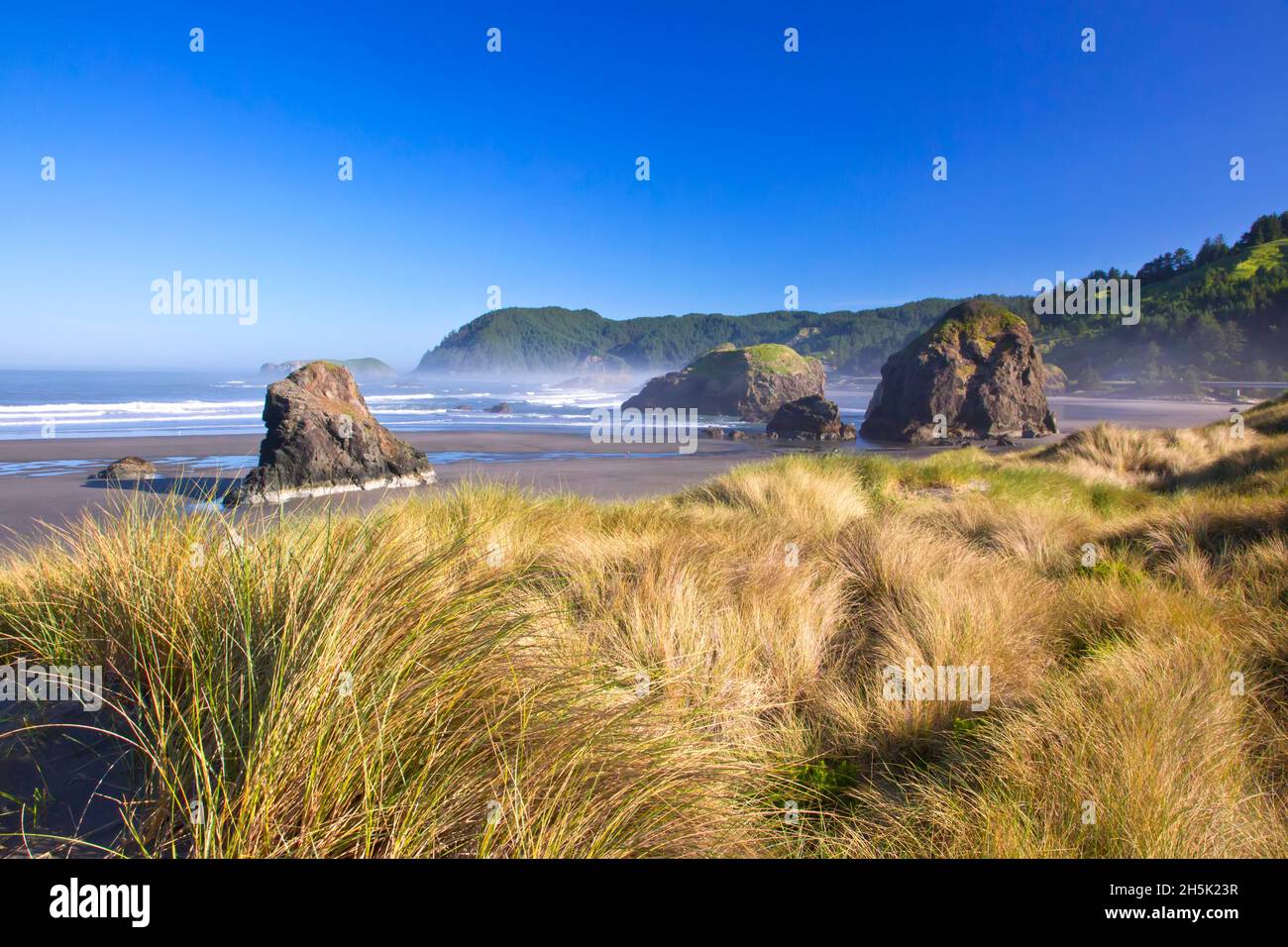 Morning light adds beauty to Cape Sebastian along the South Oregon ...