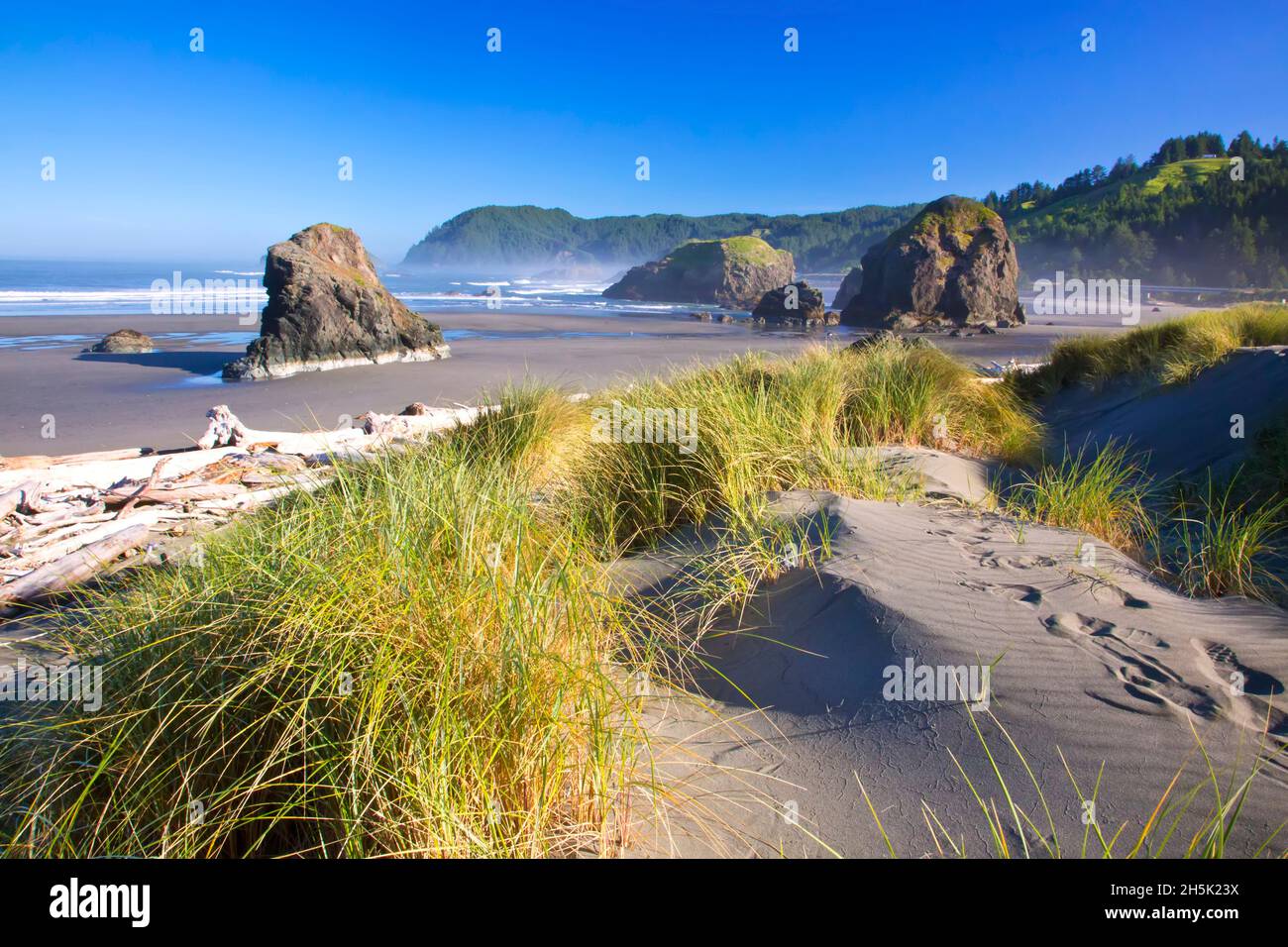 Morning light adds beauty to Cape Sebastian along the South Oregon ...