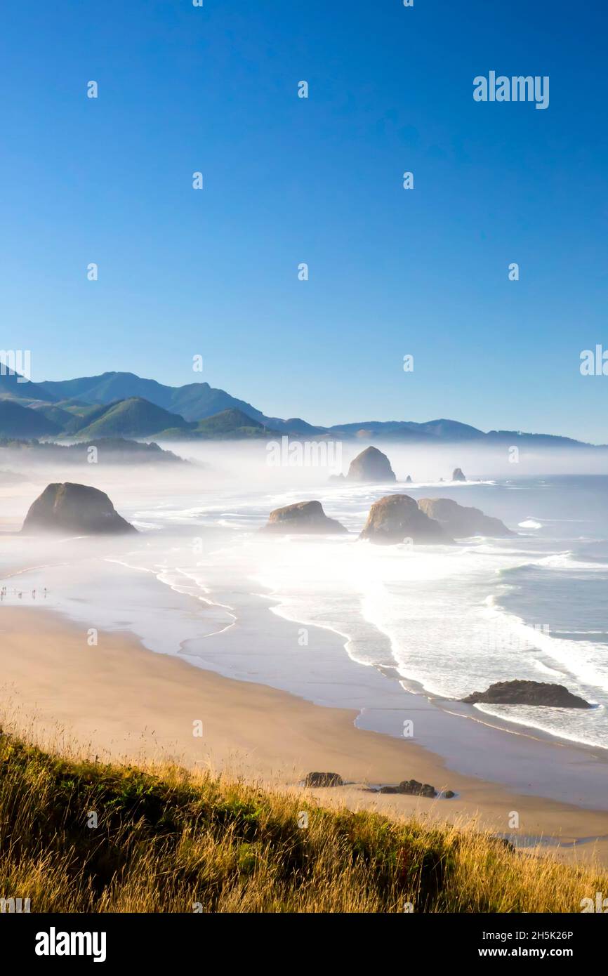 Morning fog adds beauty to Ecola State Park looking south to Haystack ...