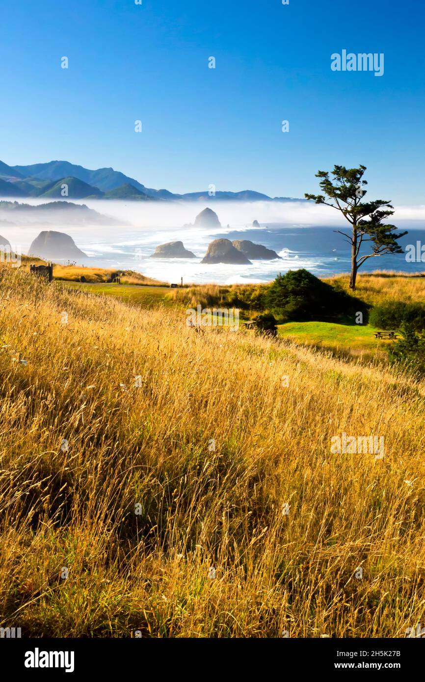 Morning fog adds beauty to Ecola State Park looking south to Haystack ...