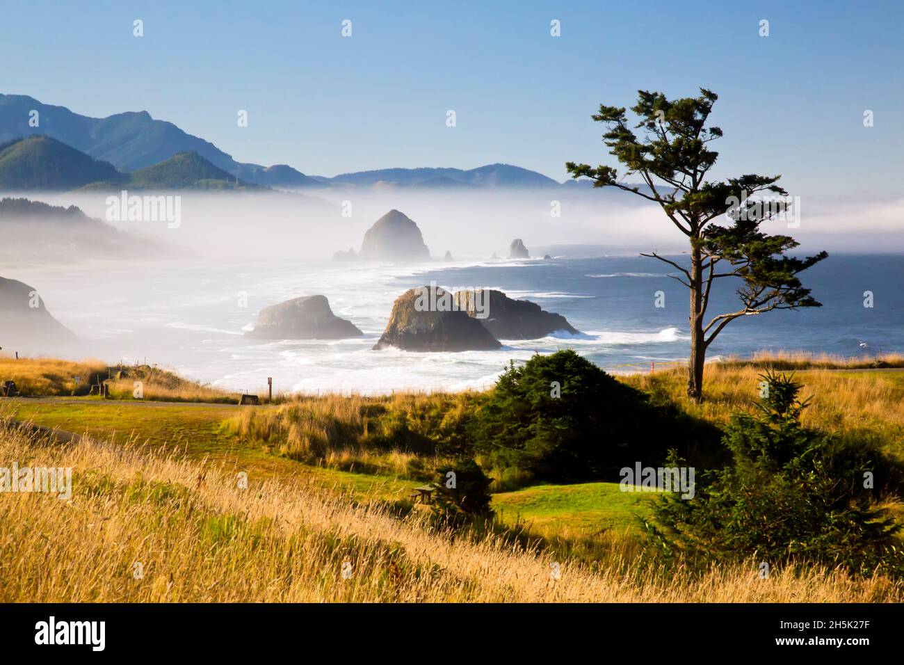 Morning fog adds beauty to Ecola State Park looking south to Haystack ...