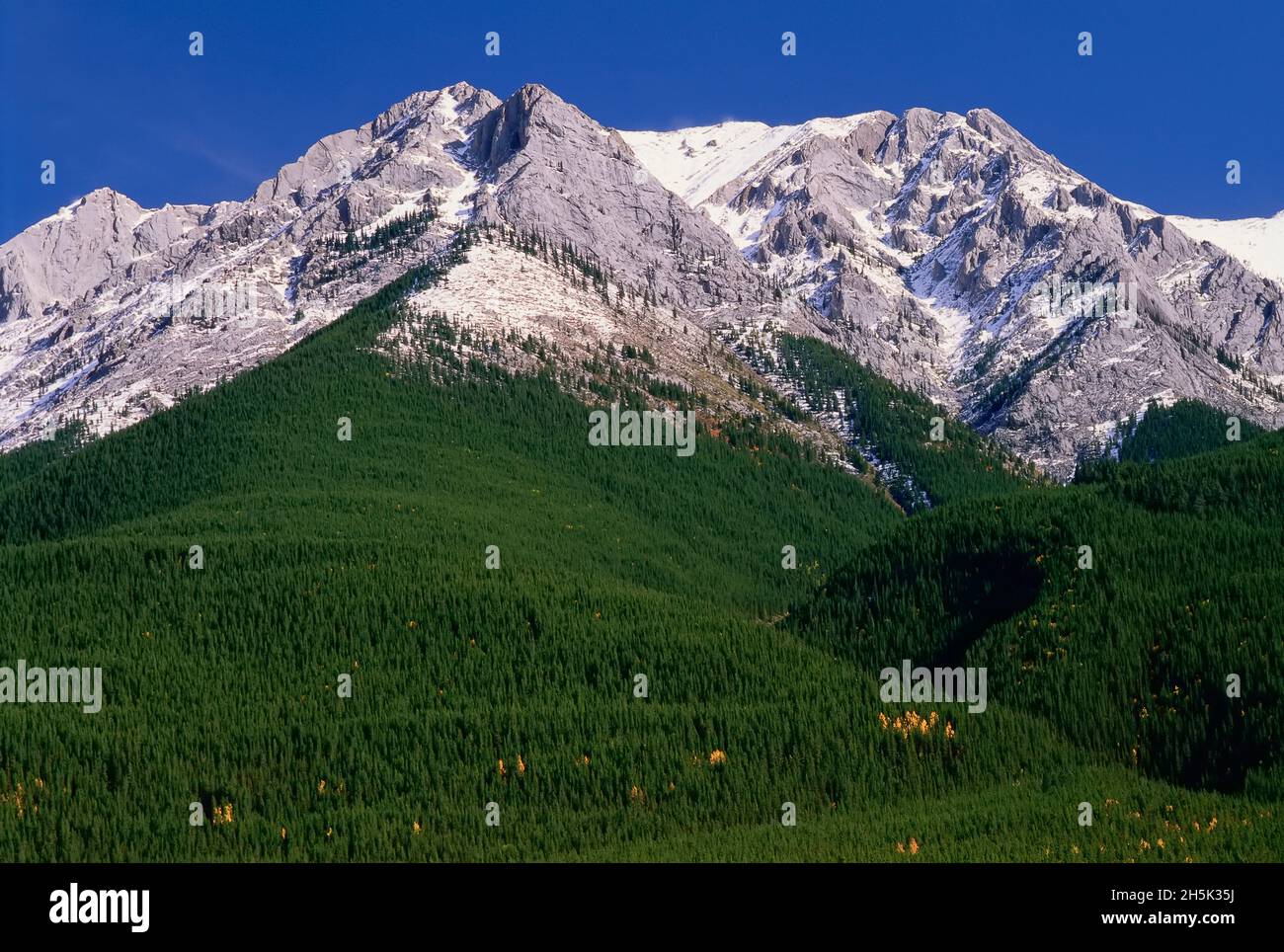 Kananaskis Valley, Rocky Mountains, Alberta, Canada Stock Photo - Alamy