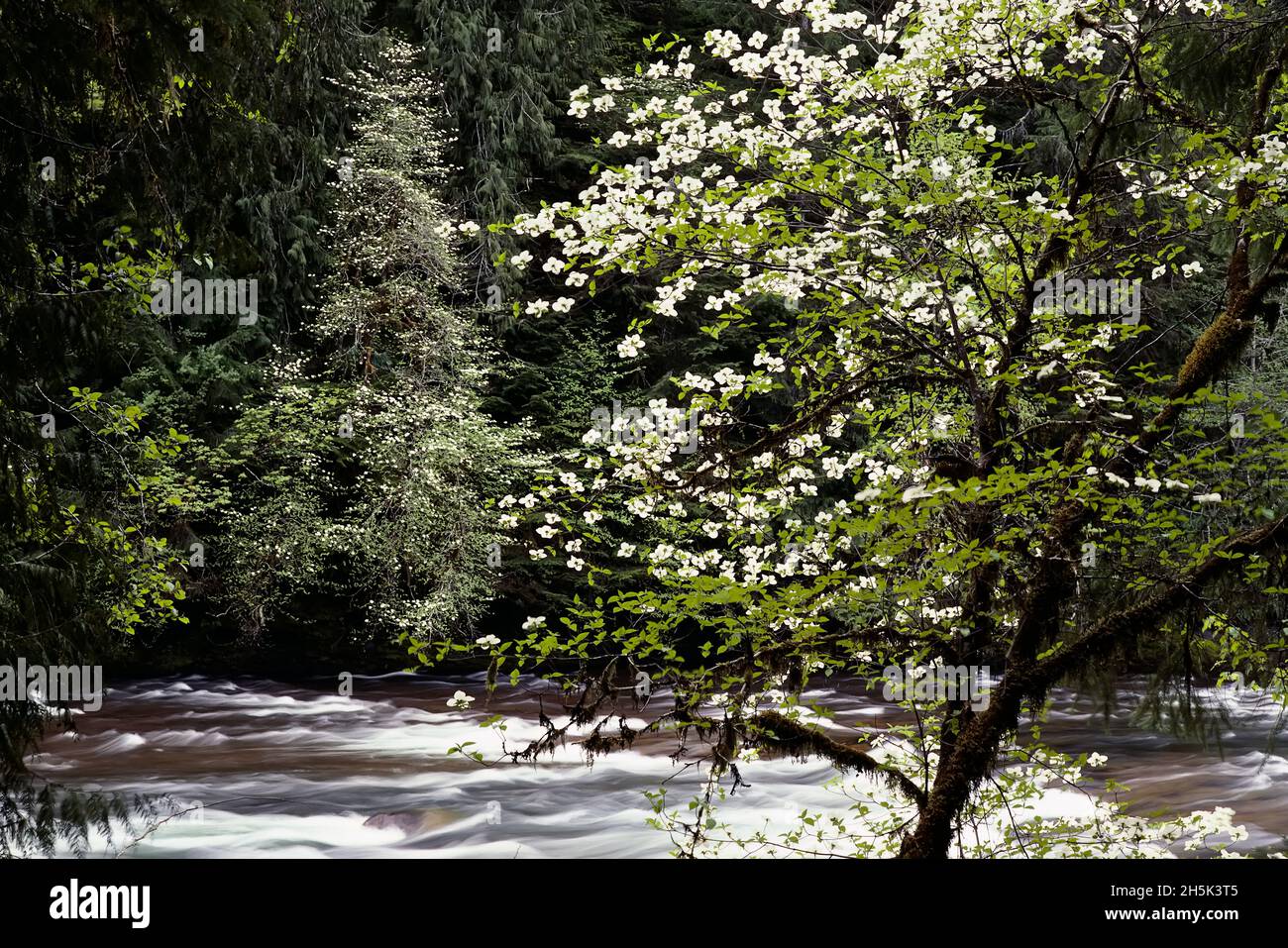 Stamp falls hi-res stock photography and images - Alamy