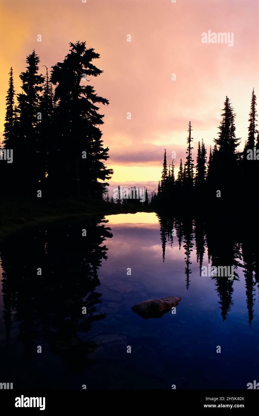 Tarn in Black Tusk Meadows Garibaldi Provincial Park British Columbia ...