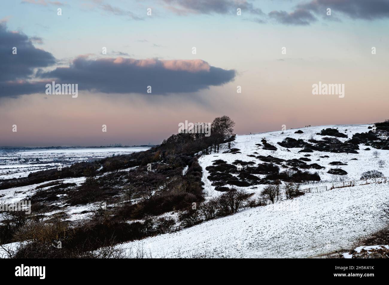Landscape covered with snow and shrubs Stock Photo - Alamy