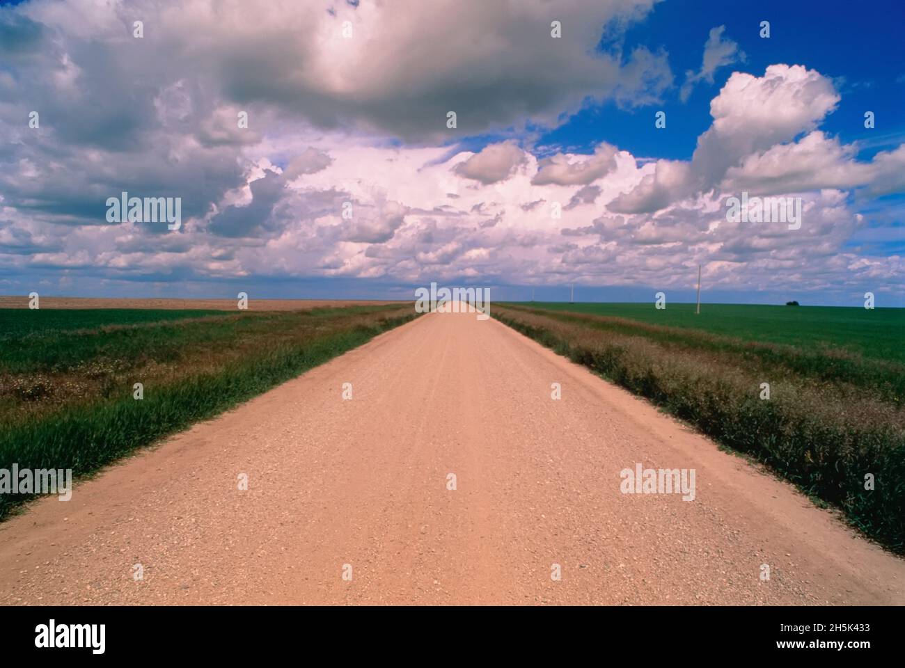 Hanley road hi-res stock photography and images - Alamy