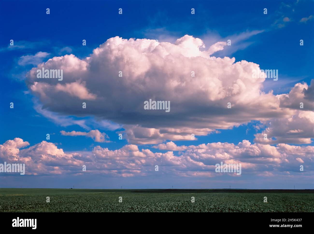 Field and Clouds West of Outlook Saskatchewan, Canada Stock Photo - Alamy