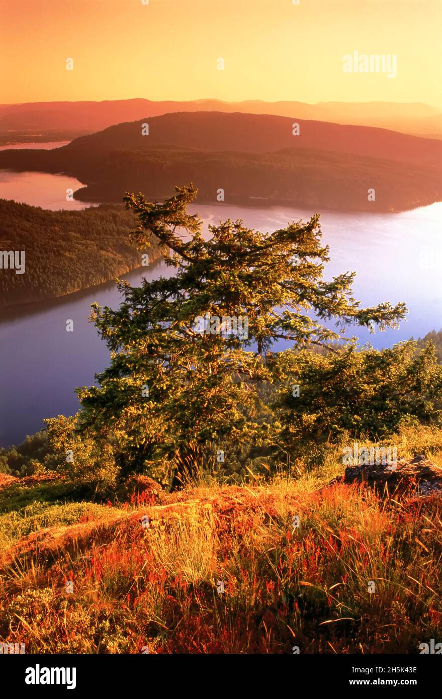 Salt spring mount maxwell hi-res stock photography and images - Alamy