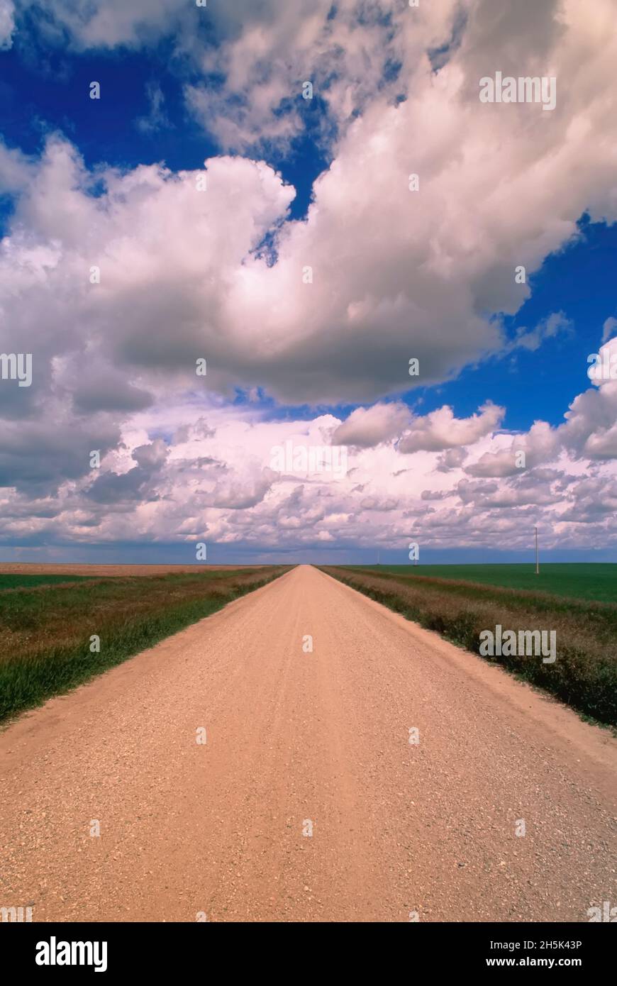 Hanley road hi-res stock photography and images - Alamy