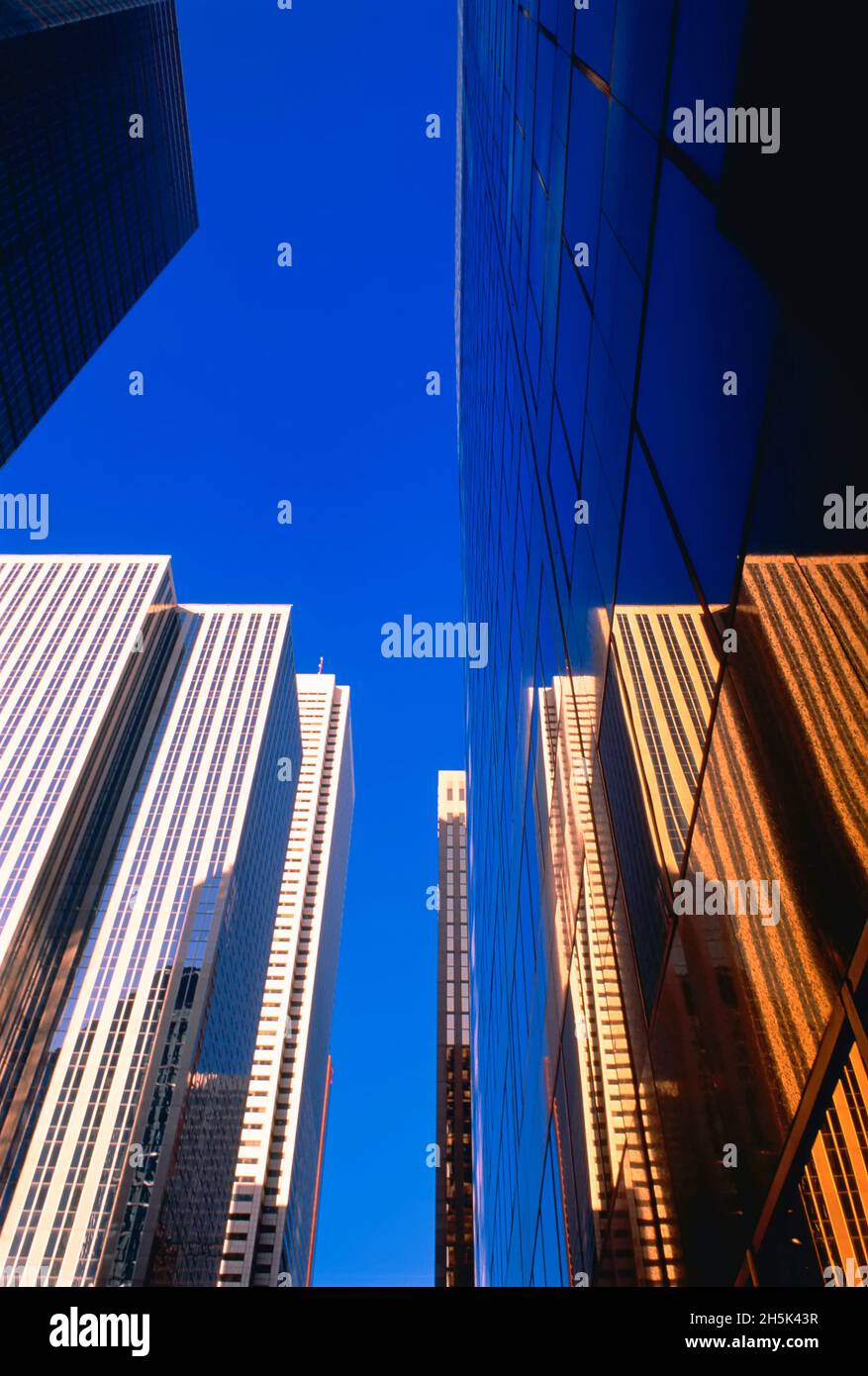 Office building high toronto canada hi-res stock photography and images ...