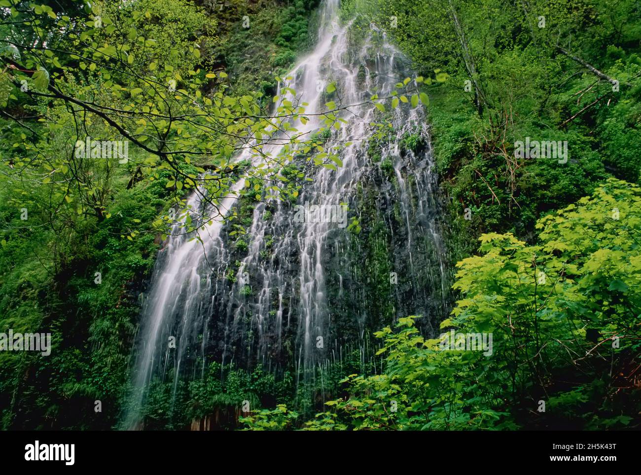 Mist Falls Columbia Gorge Oregon, USA Stock Photo - Alamy