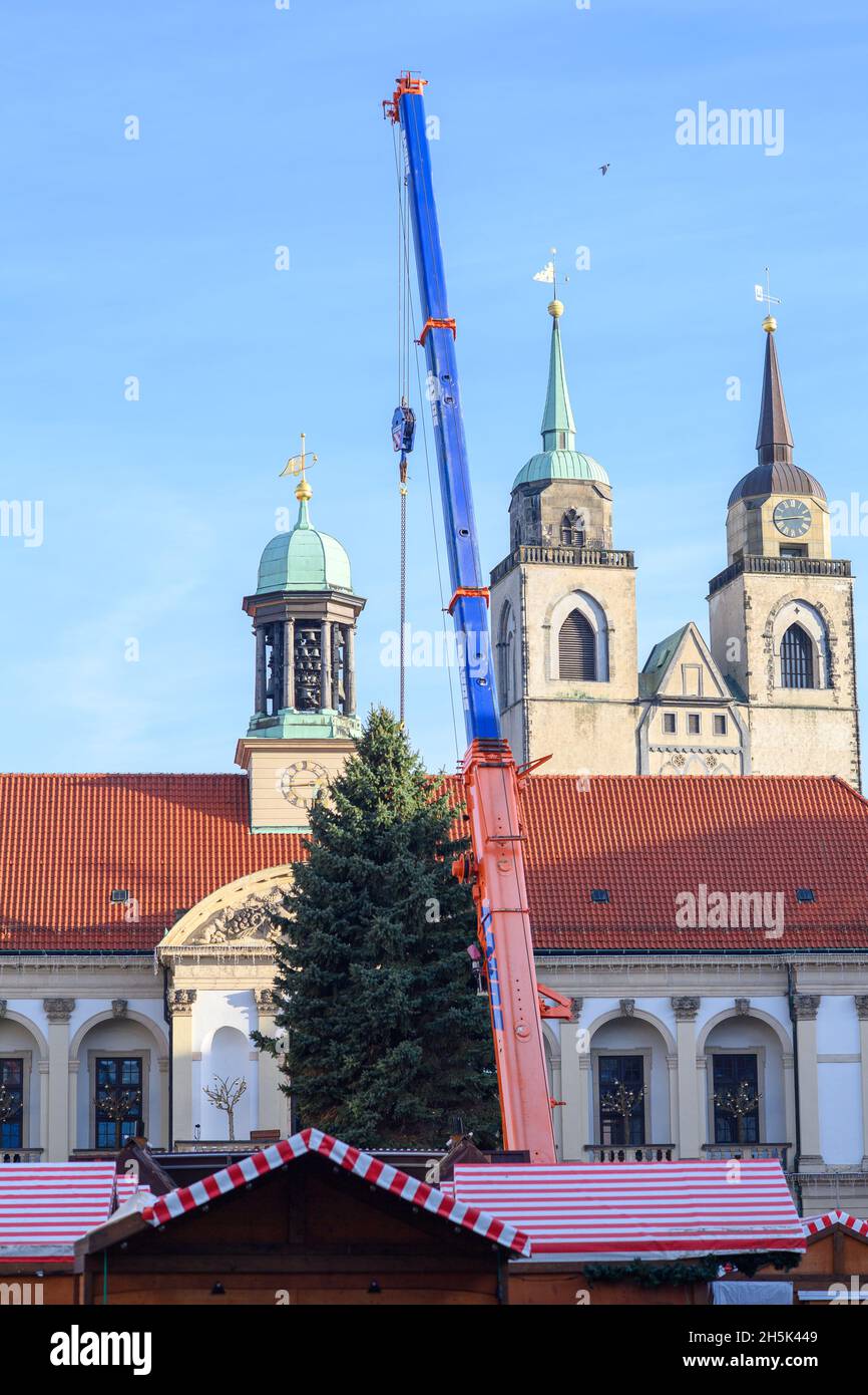 Crane lifts tree hi-res stock photography and images - Alamy