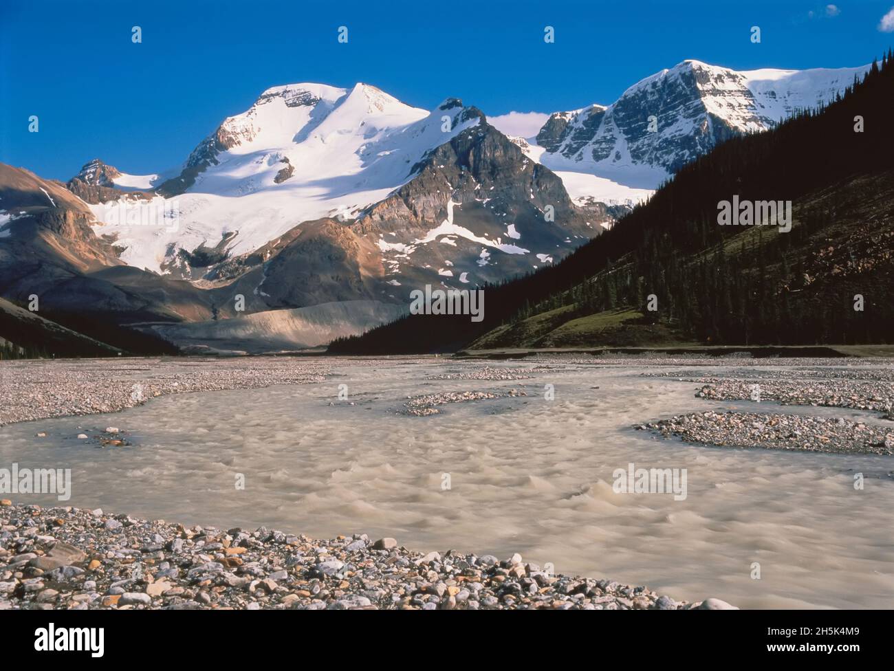 Mount Athabasca and Mount Andromeda, Sunwapta River, Jasper National ...