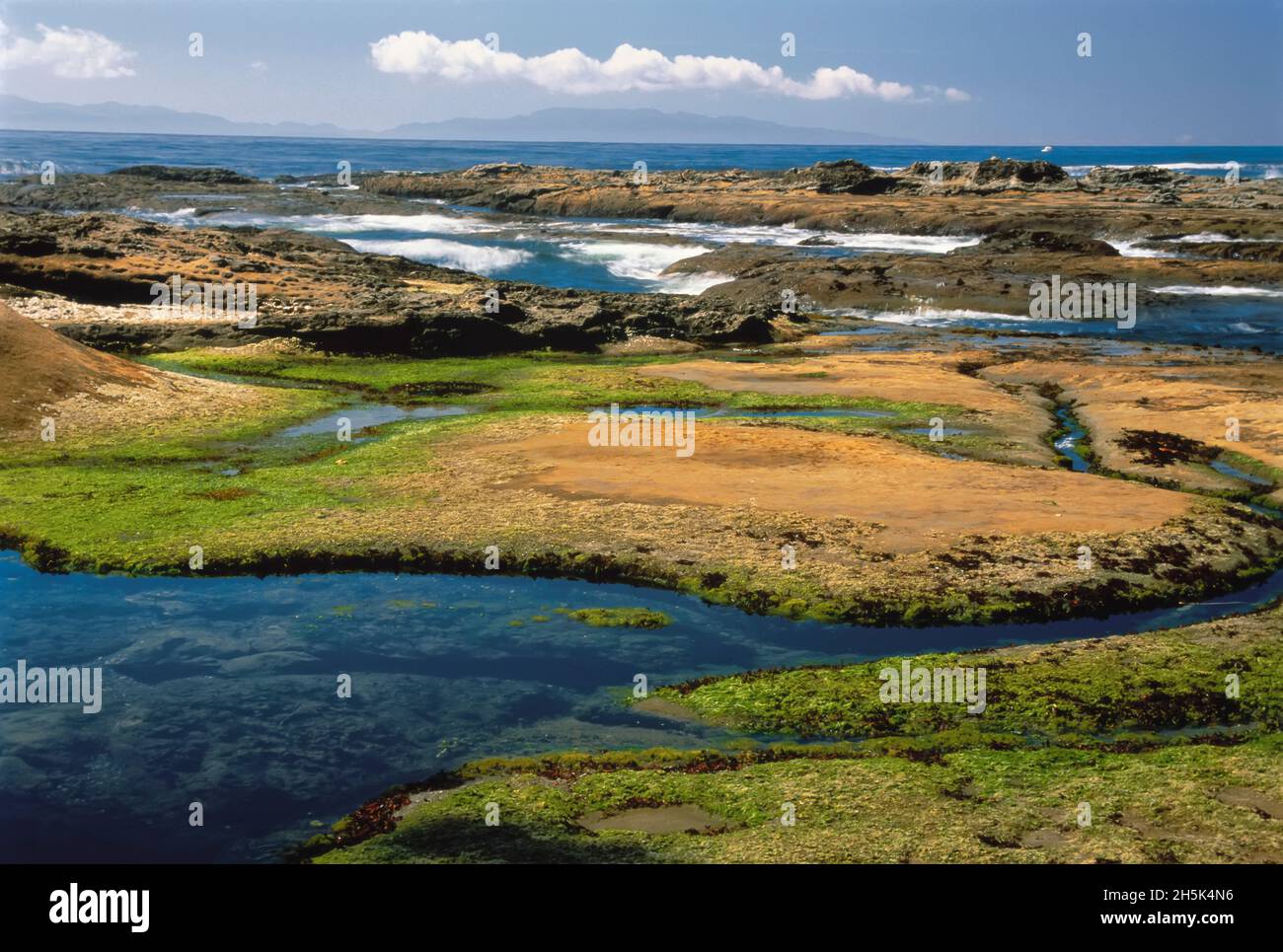 Overview of Botanical Beach Provincial Park, Vancouver Island British ...