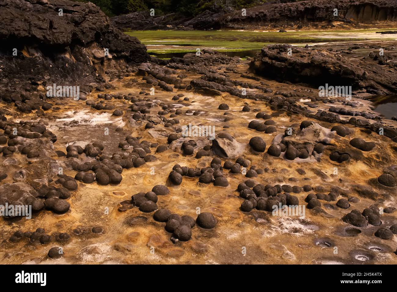 Rock Formations at Low Tide, Botanical Beach Provincial Park, British ...