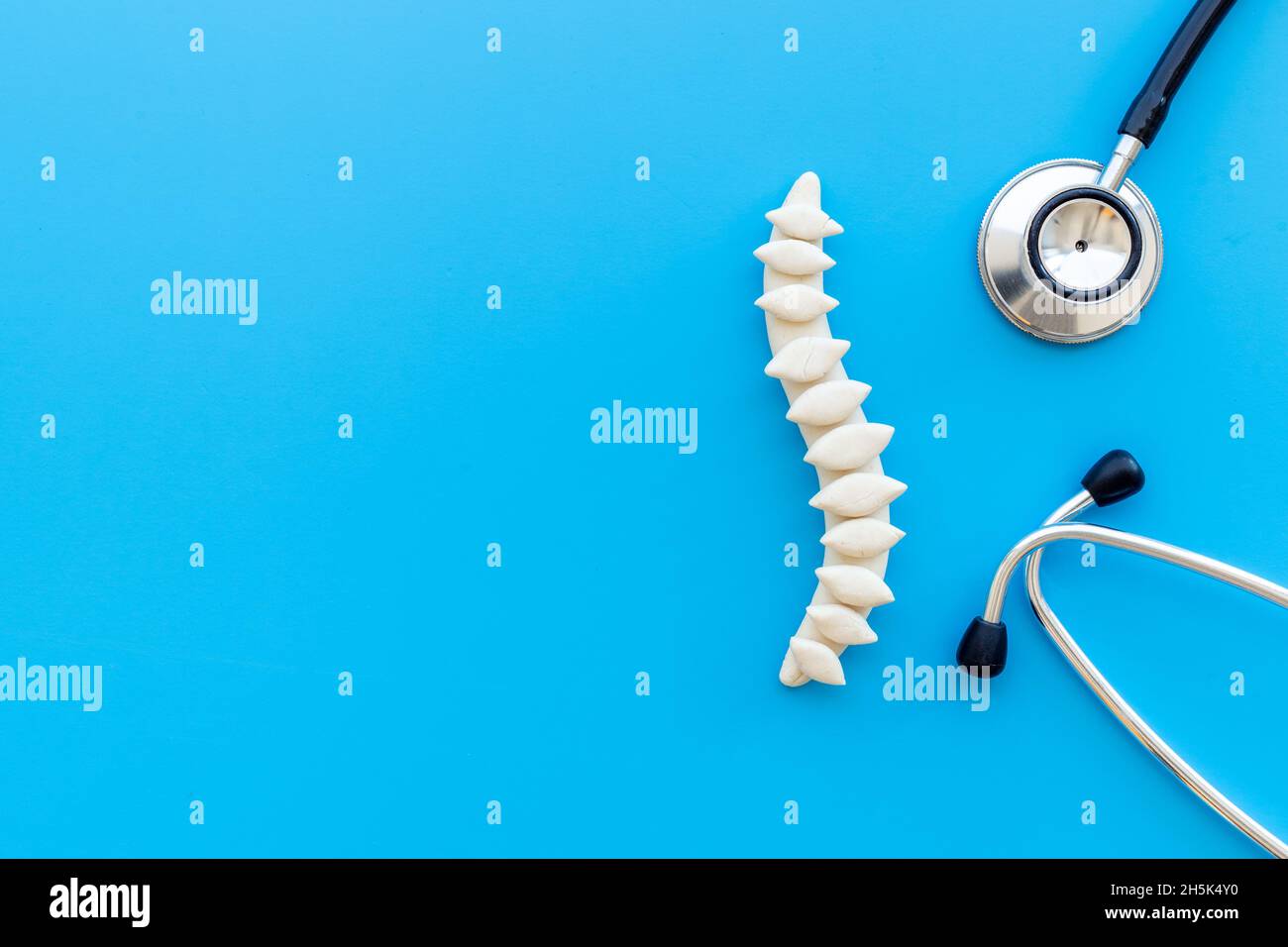 Human medical spine model with stethoscope. Health spinal column care ...