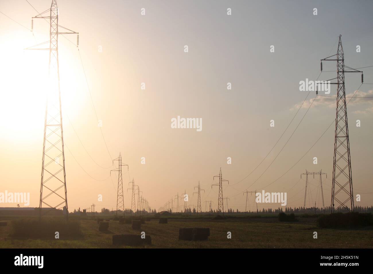 Power lines in summer sunset Stock Photo - Alamy