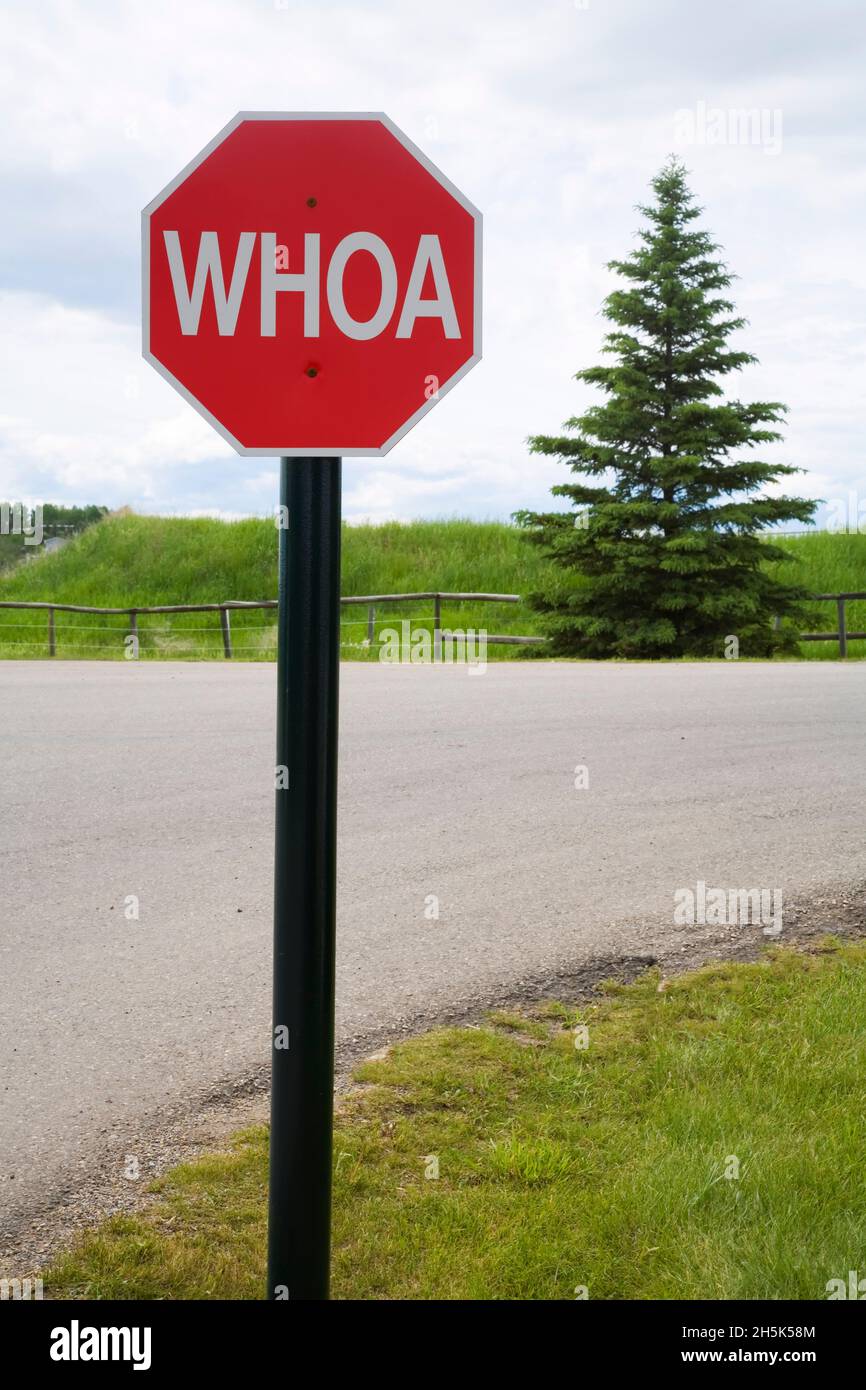 Spruce meadows calgary hi-res stock photography and images - Alamy