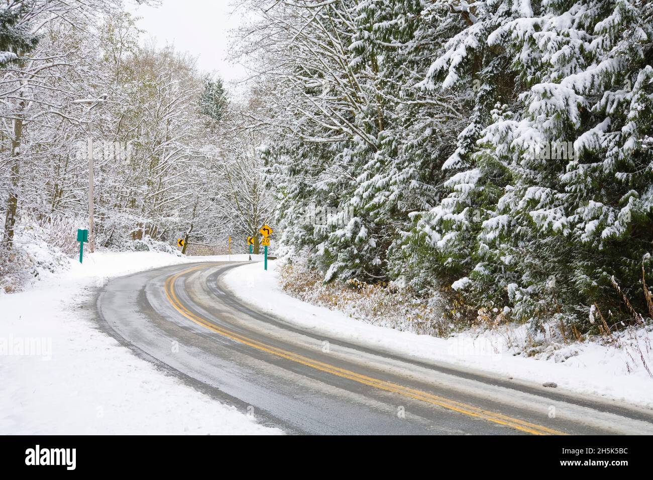 Imperial Drive, Pacific Spirit Regional Park, Point Grey, Vancouver ...