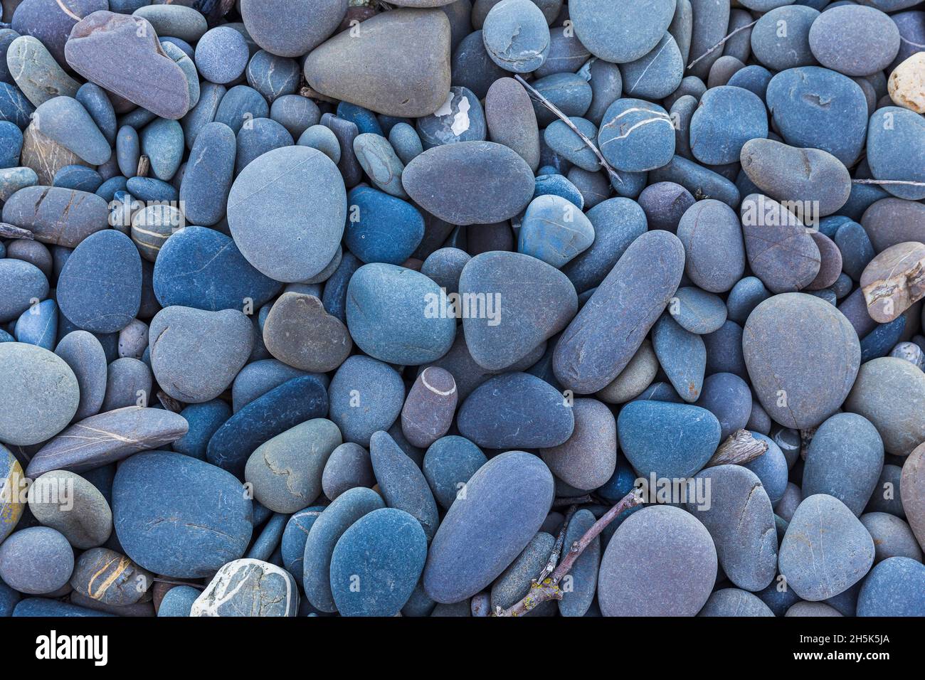 The texture of large river pebbles. Will match the background Stock ...