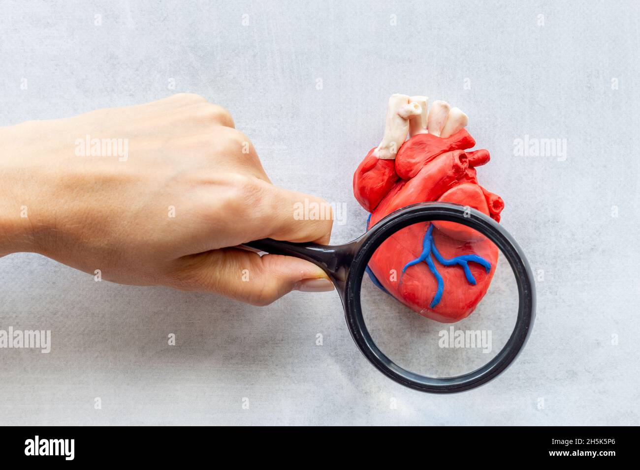 Heart health concept with hands and human heart model Stock Photo - Alamy