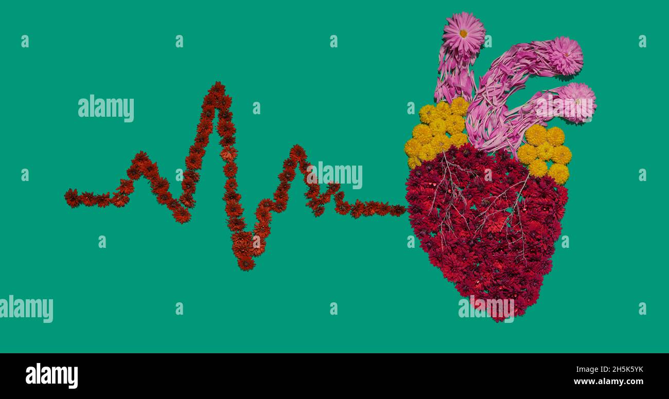 Anatomy model of human heart with heart rate graph , flower ...