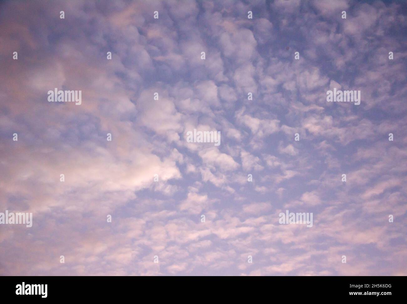 sunset sky background light twilight sunrise nature for design Stock ...