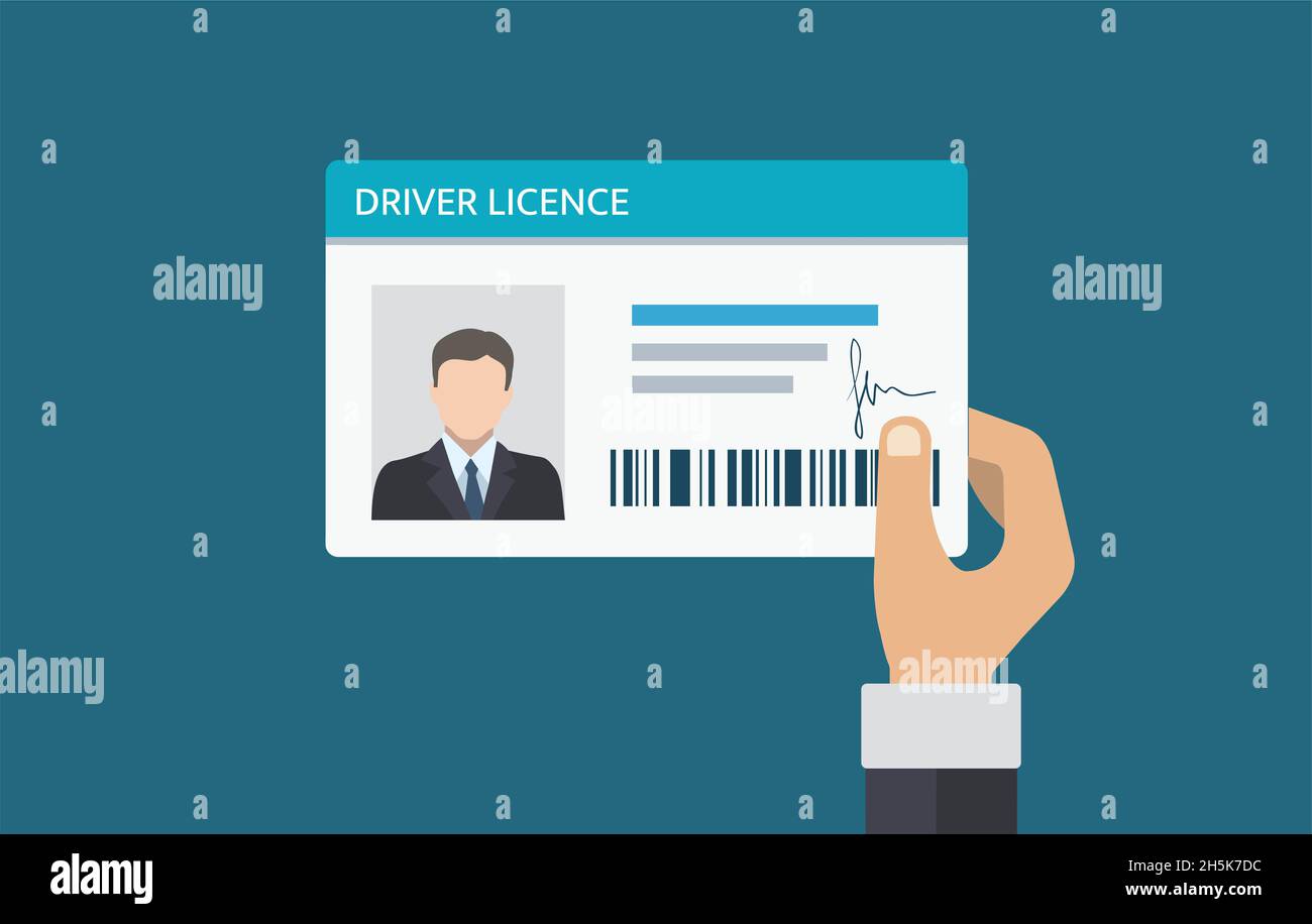 Driver license card in hand. ID number and photo Stock Photo - Alamy