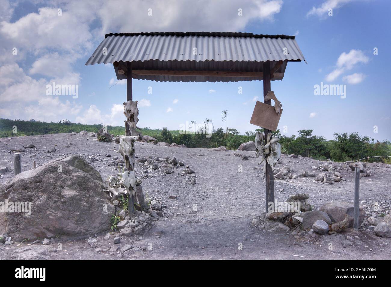 Scenery of animal skulls at Mount Merapi area in Central Java ...