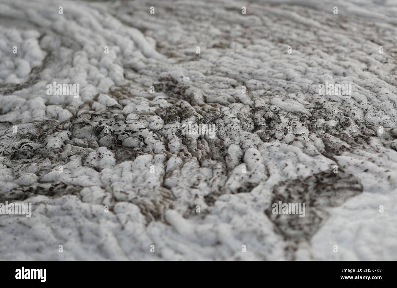 Polluted yamuna river hi-res stock photography and images - Alamy
