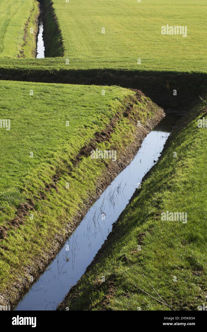 Close-up of water ditches in grassland; Wolphaartsdijk, Zeeland ...