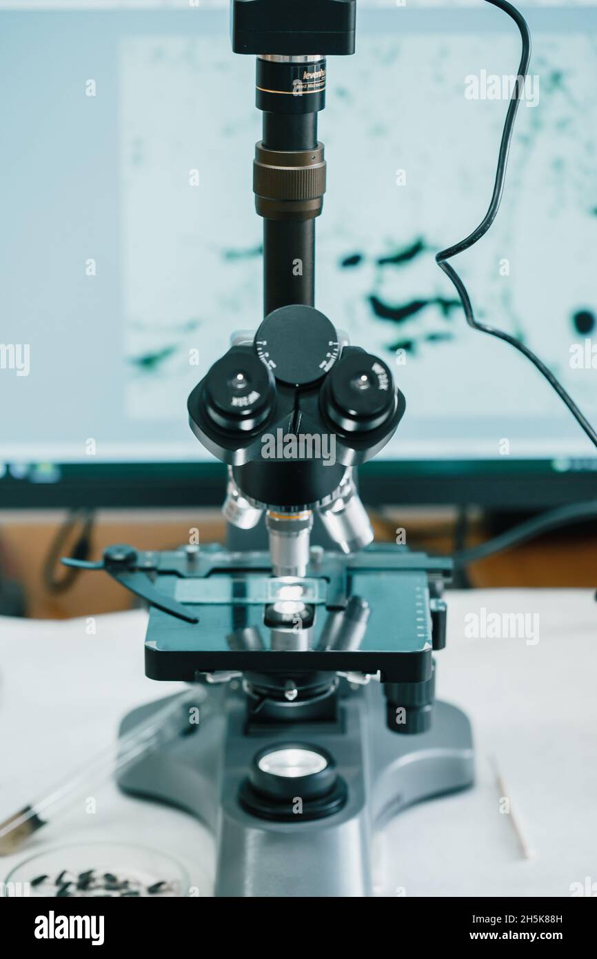 Electron microscope in the laboratory for studying mold on hemp Stock ...