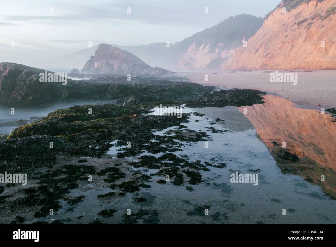 Tidal pools and rock formations along the foggy Central Coast; Santa ...