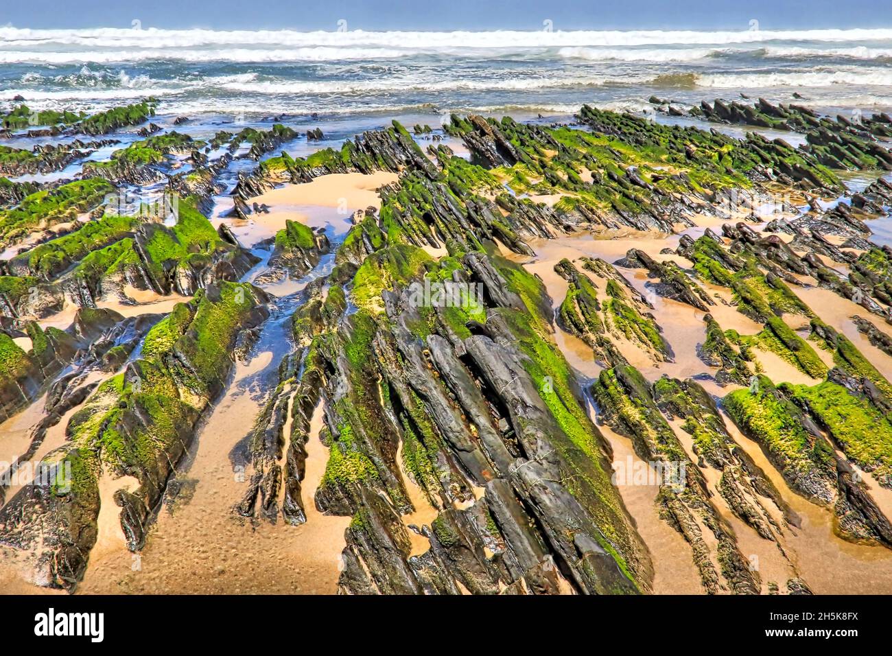 Jagged rock formations covered in algae, sticking out of the sand on ...