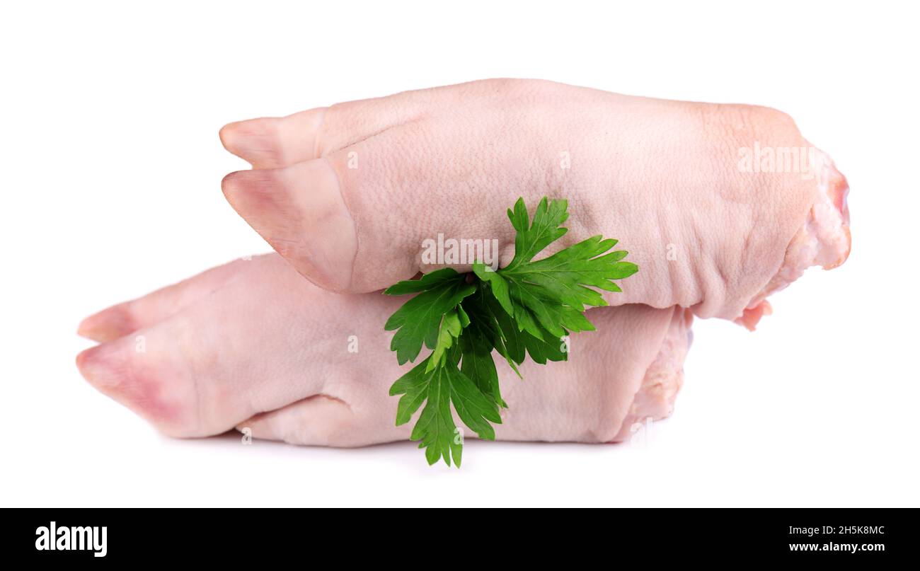 Raw pork hooves isolated on white background. Fresh pig legs Stock ...