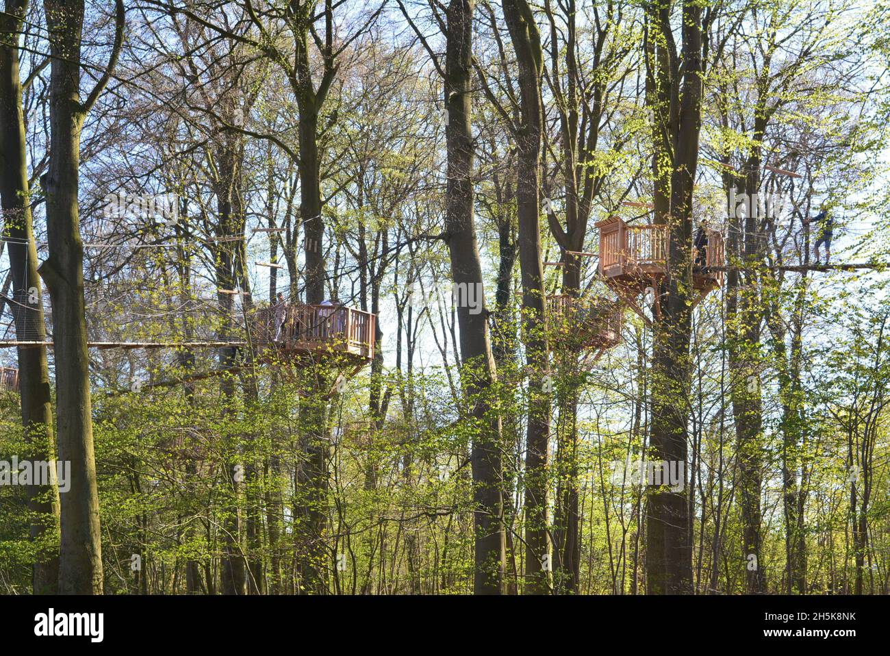 Landscape view of a forest and tree huts Stock Photo - Alamy