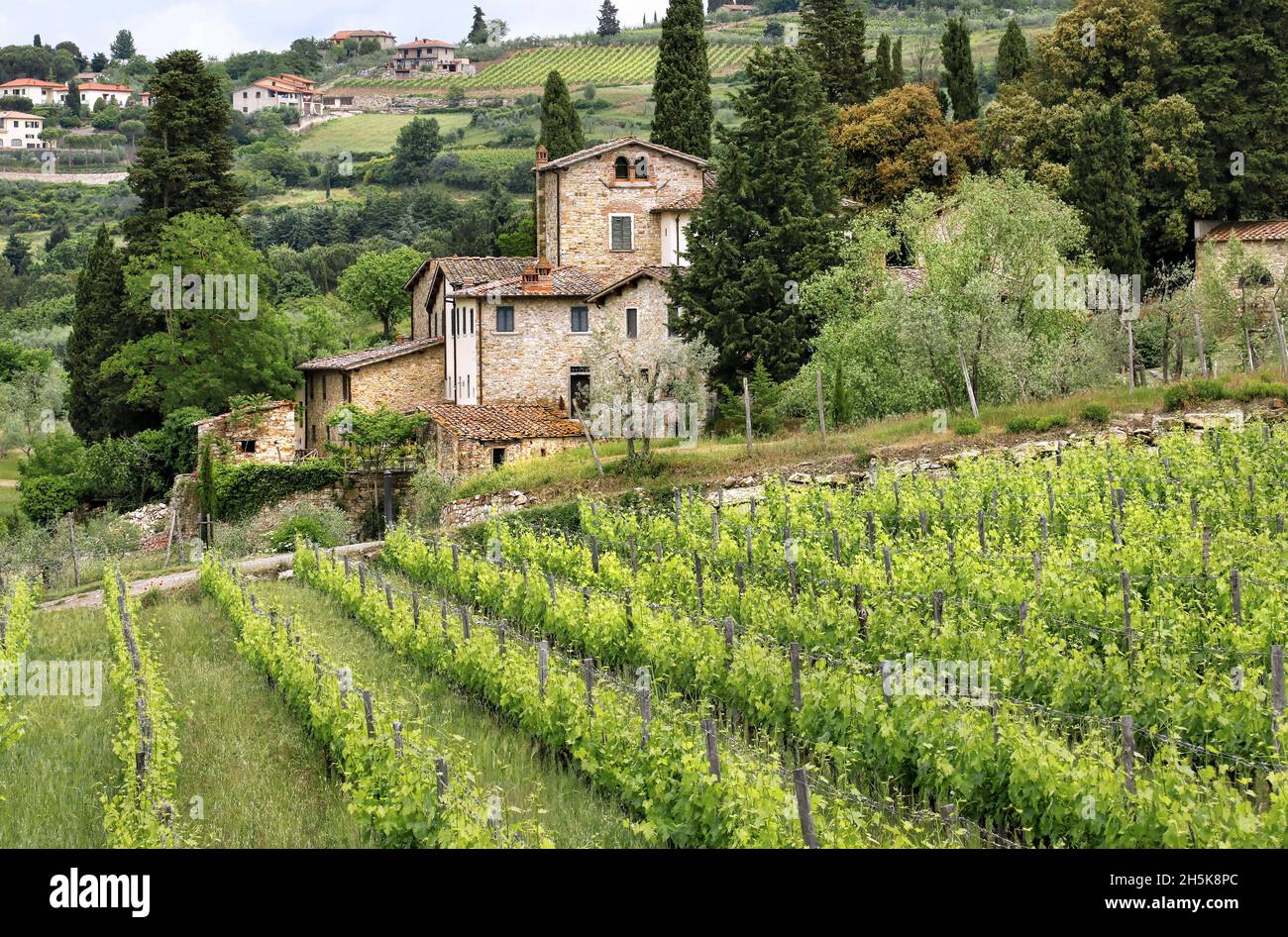 Old stone farmhouse and vineyard in the Tuscan countryside; Tuscany ...