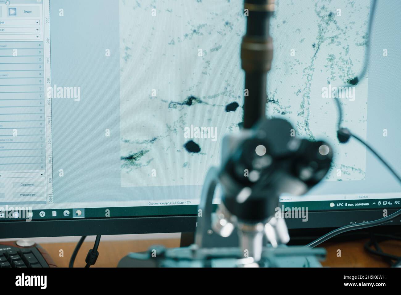 Electron microscope in the laboratory for studying mold on hemp Stock ...